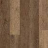 Polyflor Expona Commercial - Dark Classic Oak 4088 | LVT