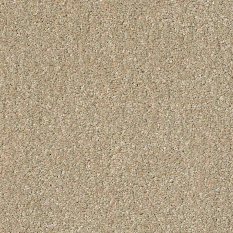 Buy CFS Optimum Tonals - Blueberry Online | Flooring King